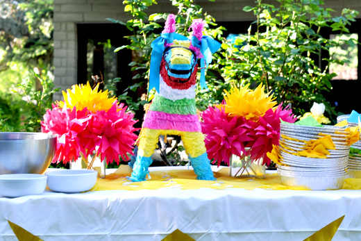 Fun and Festive Ideas for a Cinco De Mayo Party | Catch My Party