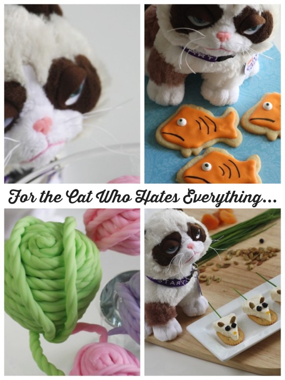 What to Feed the Cat Who Hates Everything! | Catch My Party