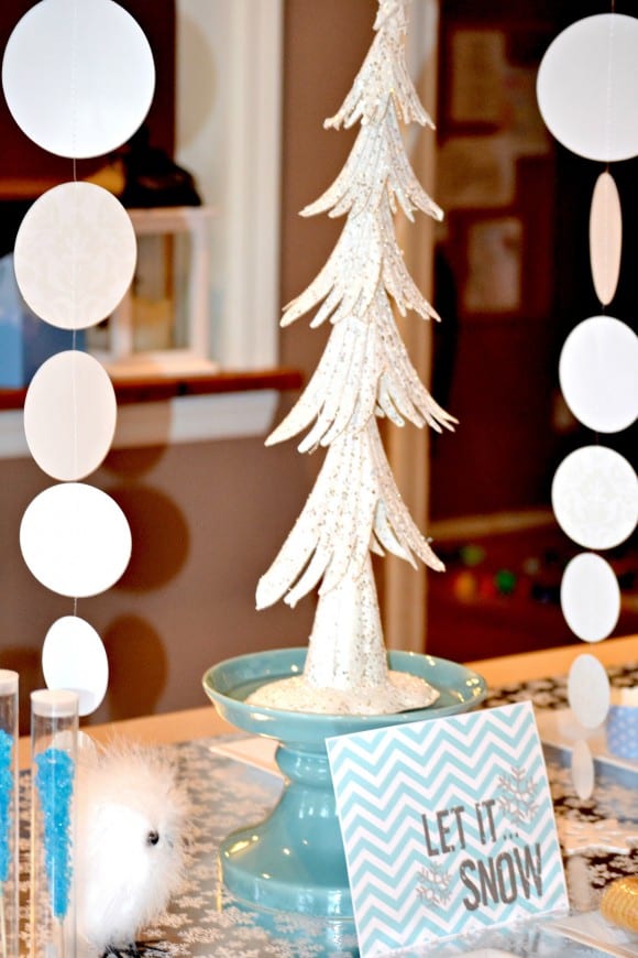 Winter Wonderland Party Ideas | Catch My Party