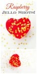 Raspberry Jello Shot Recipe | Catch My Party