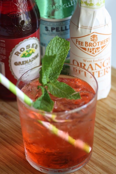 Mint Orange Bitters Mocktail Recipe | Catch My Party