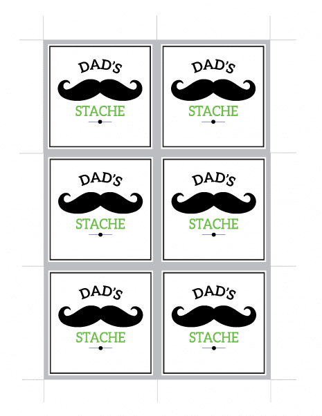Dad 'Stache' Father's Day Gift Idea | Catch My Party