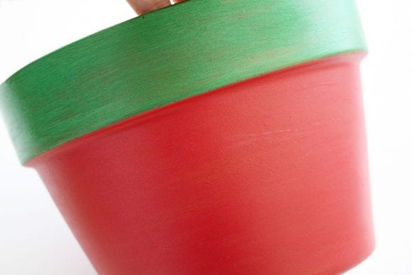Succulent Painted Pot DIY | Catch My Party