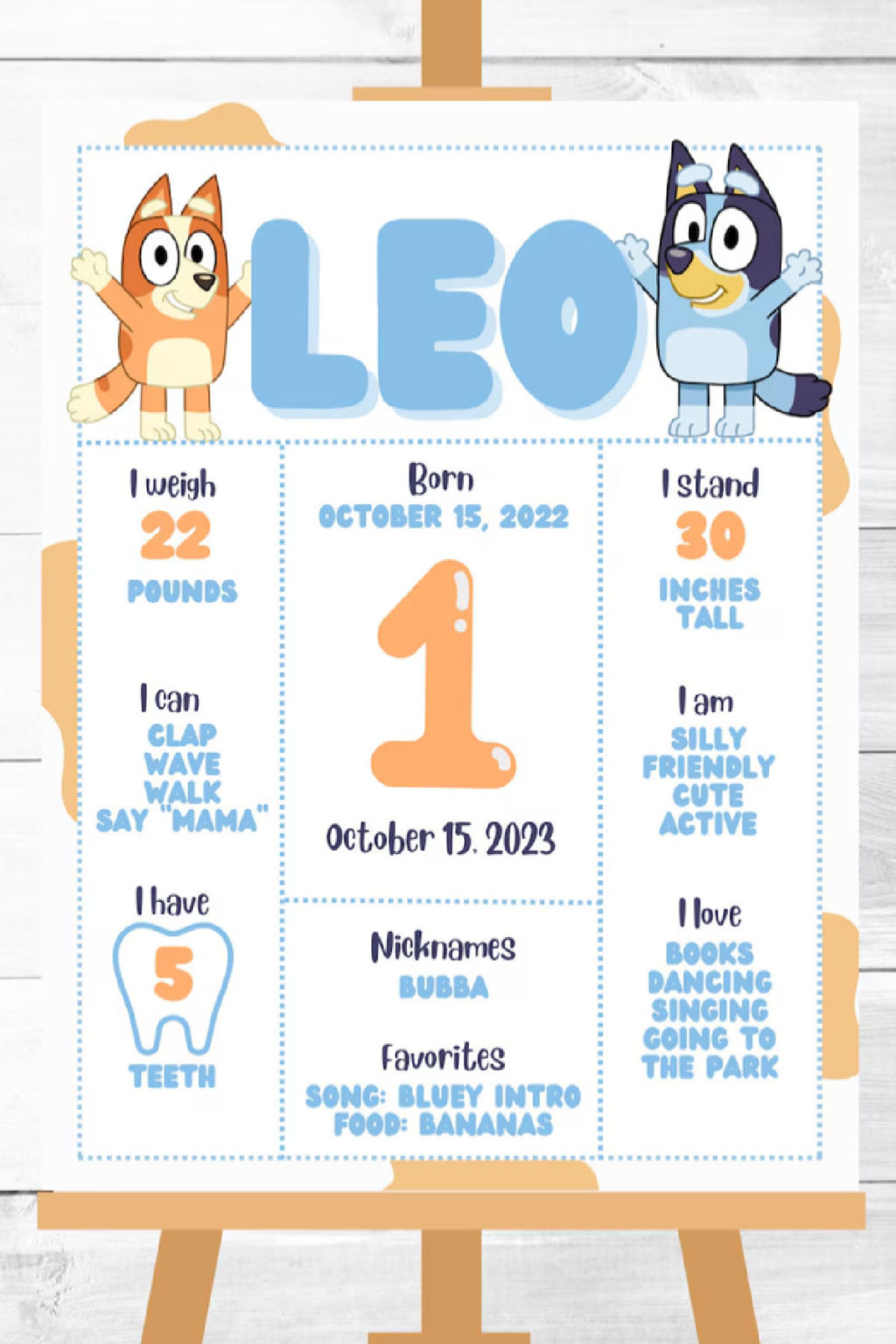 50 Best Bluey Birthday Party Ideas to Wow Your Guests! (2026) | Catch ...