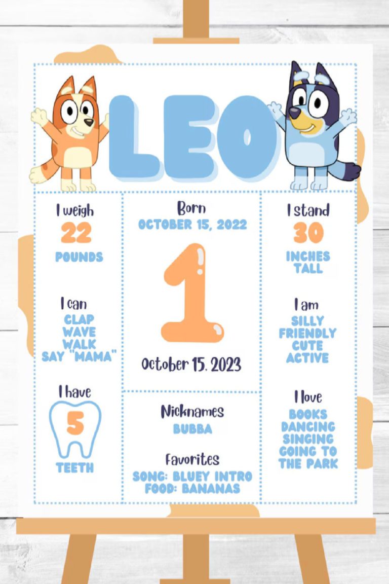 50 Best Bluey Birthday Party Ideas to Wow Your Guests! (2026) | Catch ...