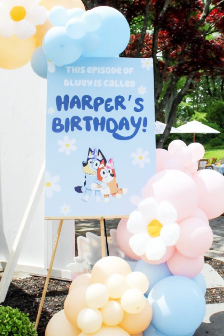 50 Best Bluey Birthday Party Ideas to Wow Your Guests! (2026) | Catch ...
