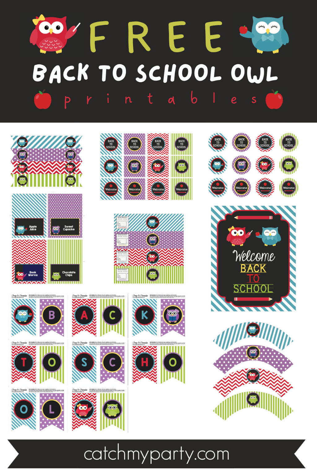 Free Back-To-School Owl Printables | Catch My Party