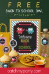 🦉 Free Owl Back-to-School Printables for Parties and Classrooms📚 ...