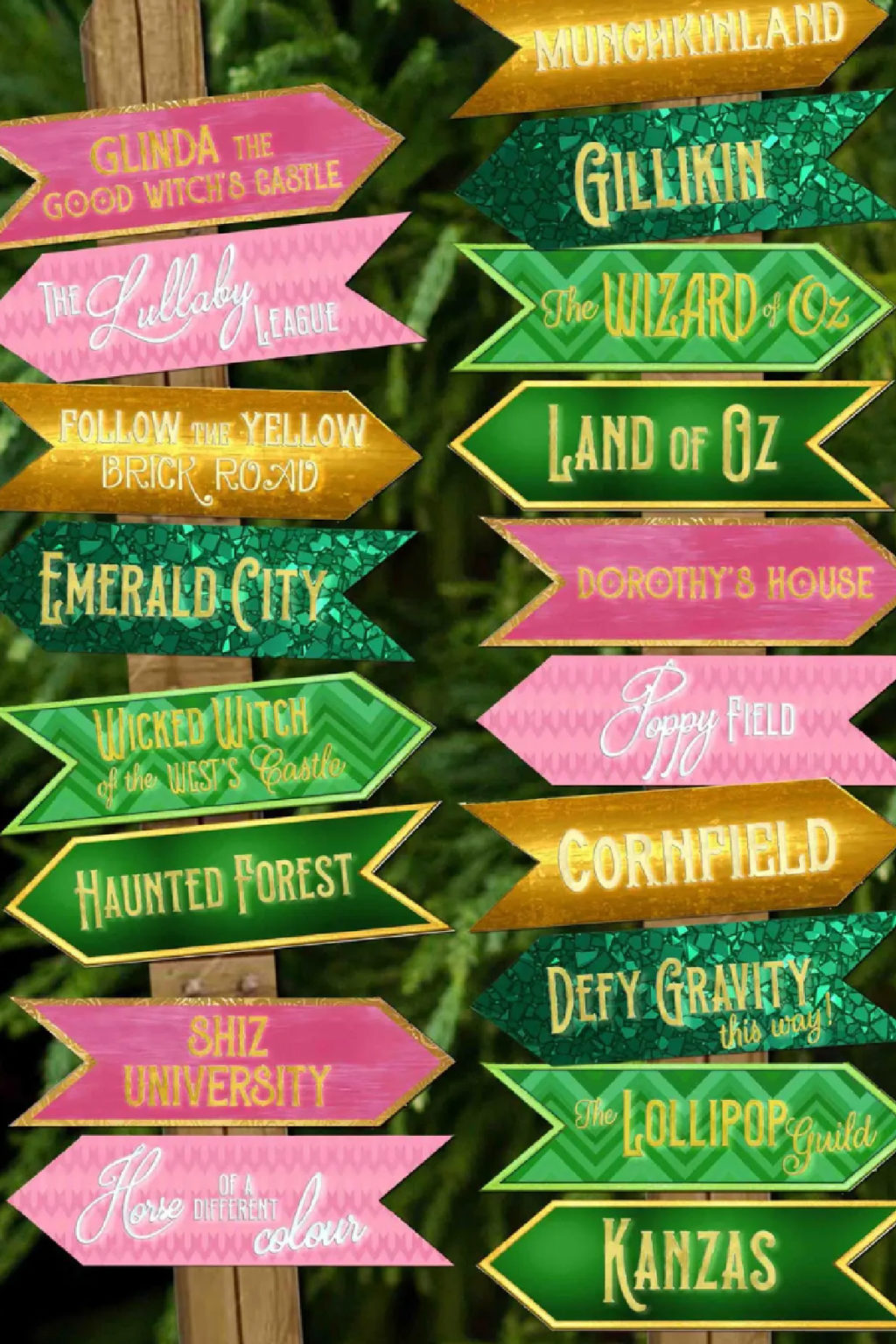 💫 Throw a Wicked Birthday Bash: 30 Magical Ideas That Defy Gravity! 💚 ...