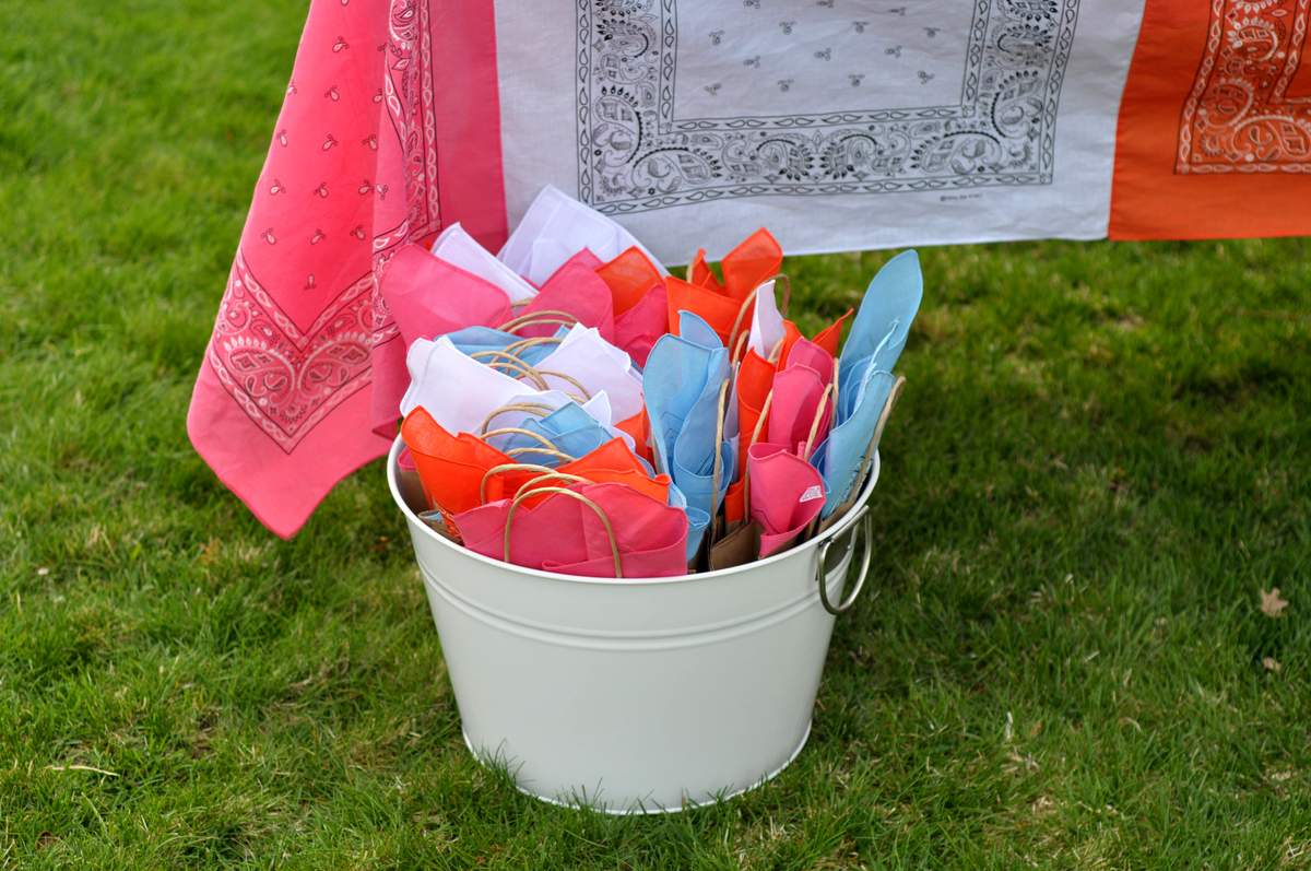 County Fair Birthday Party Ideas | Photo 7 of 11 | Catch My Party