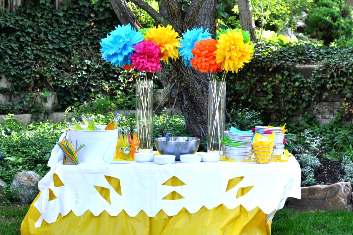 Fiesta Birthday Party Ideas | Photo 8 of 26 | Catch My Party