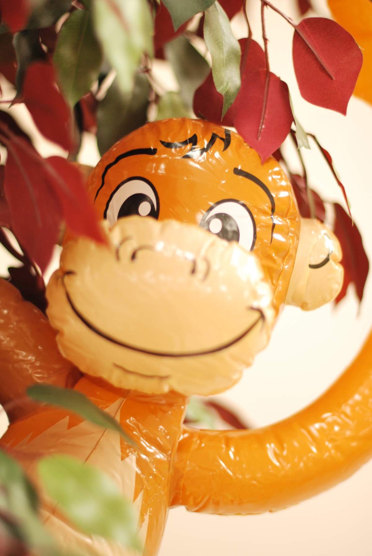 Monkey Birthday Party Ideas | Photo 4 of 17 | Catch My Party