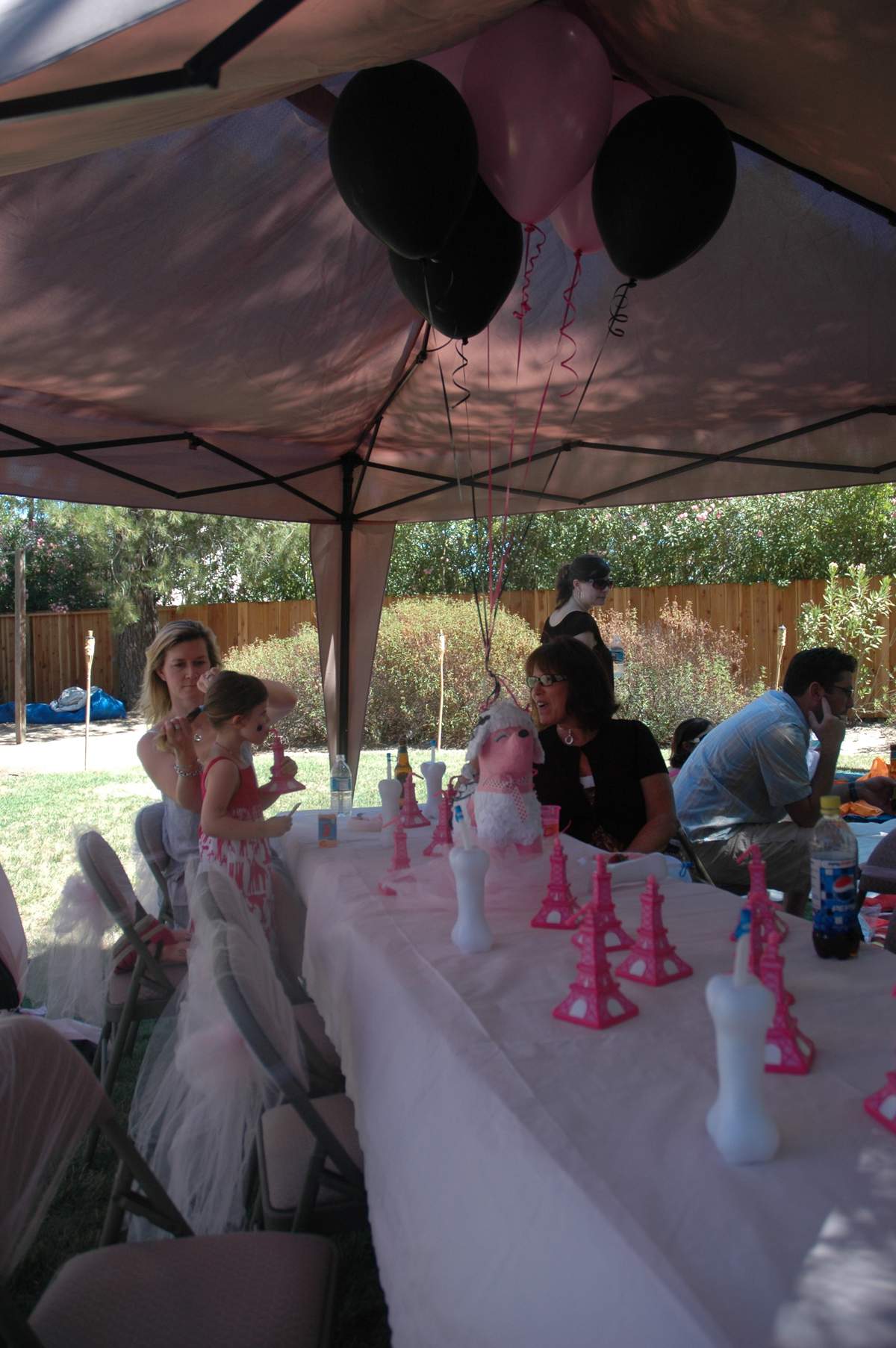 Poodle Birthday Party Ideas | Photo 7 of 27 | Catch My Party