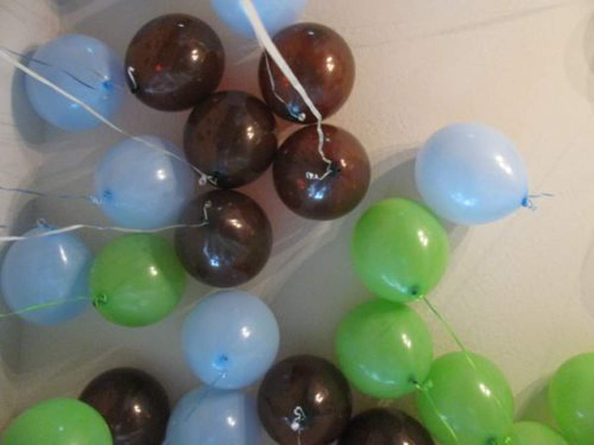 Rooster Birthday Party Ideas | Photo 6 of 18 | Catch My Party