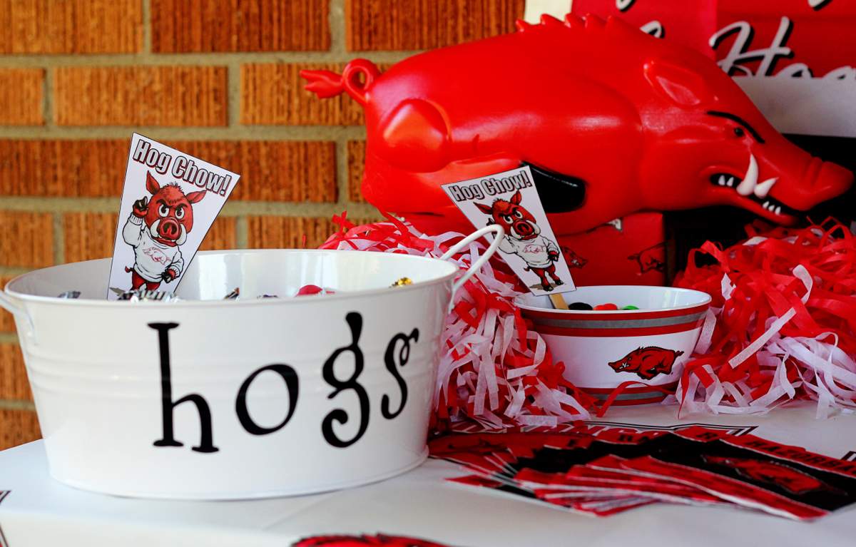 Arkansas Razorbacks Birthday Party Ideas | Photo 4 of 15 | Catch My Party