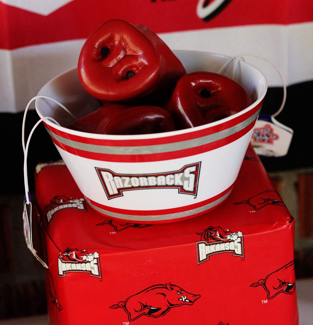 Arkansas Razorbacks Birthday Party Ideas | Photo 4 of 15 | Catch My Party