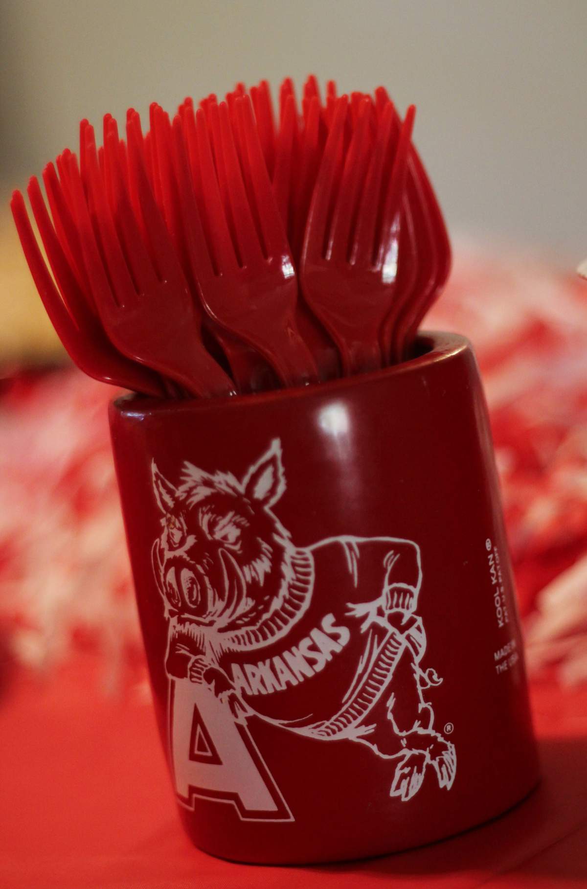 Arkansas Razorbacks Birthday Party Ideas | Photo 14 of 15 | Catch My Party