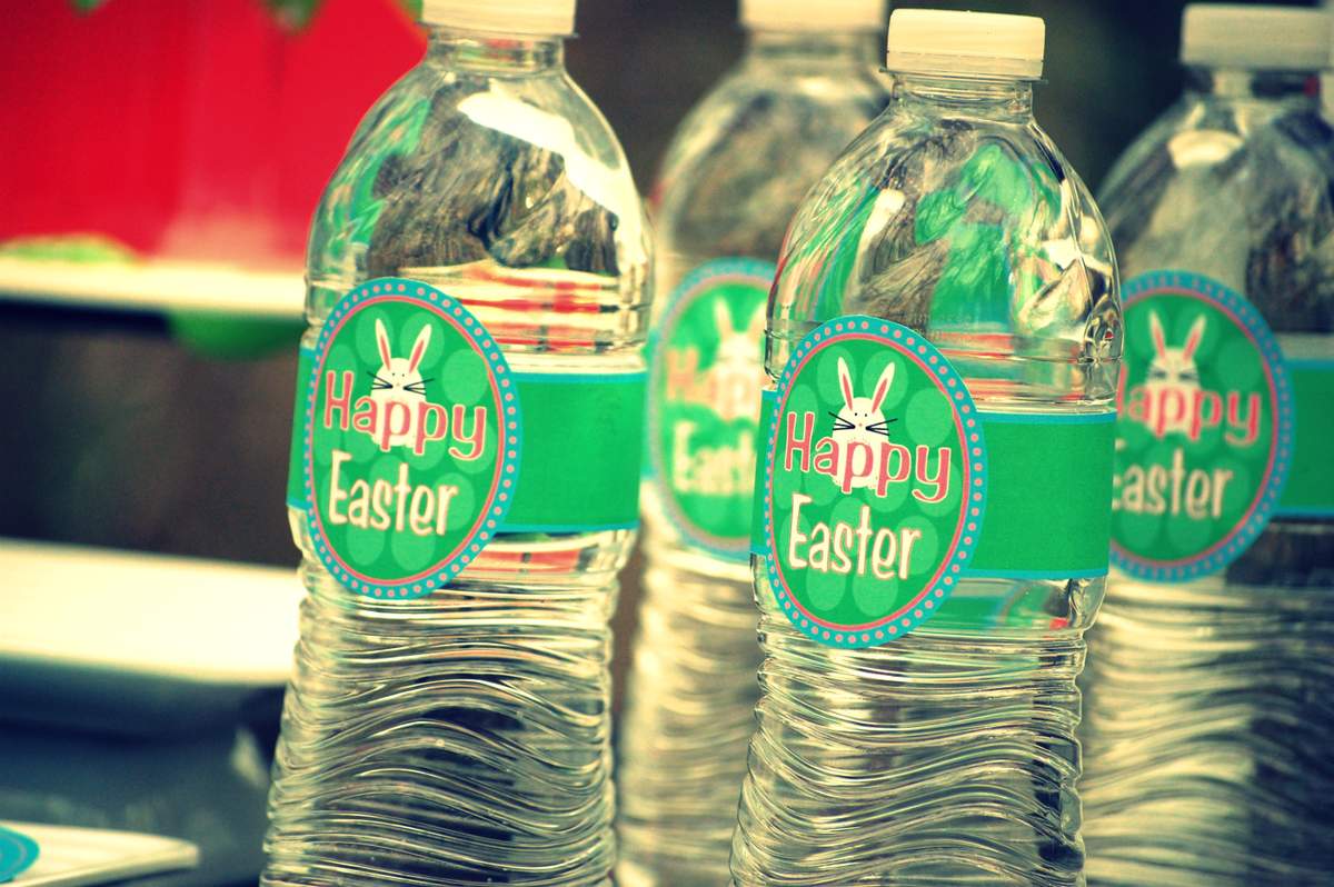 Easter Bunnies Easter Party Ideas | Photo 5 of 13 | Catch My Party