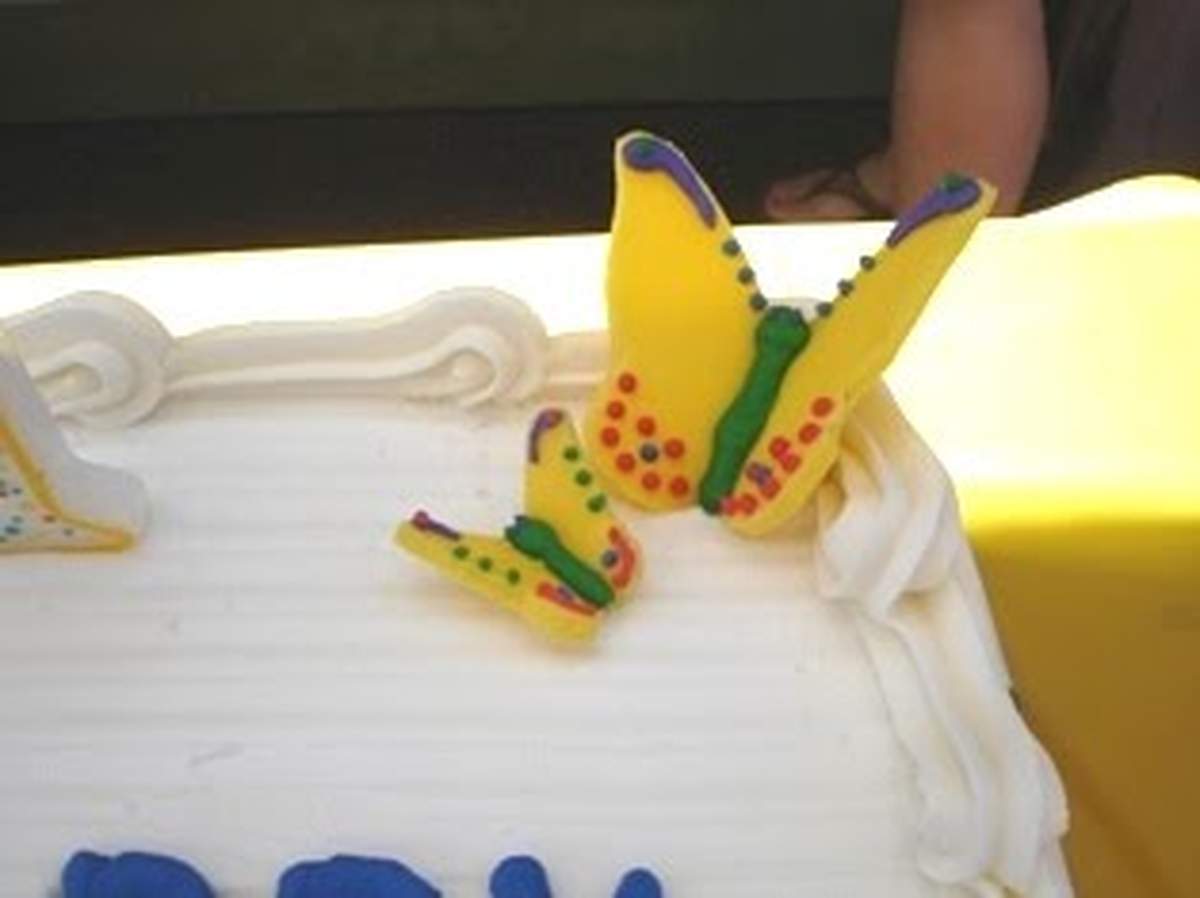 Butterfly Carnival Birthday Party Ideas | Photo 22 of 27 | Catch My Party