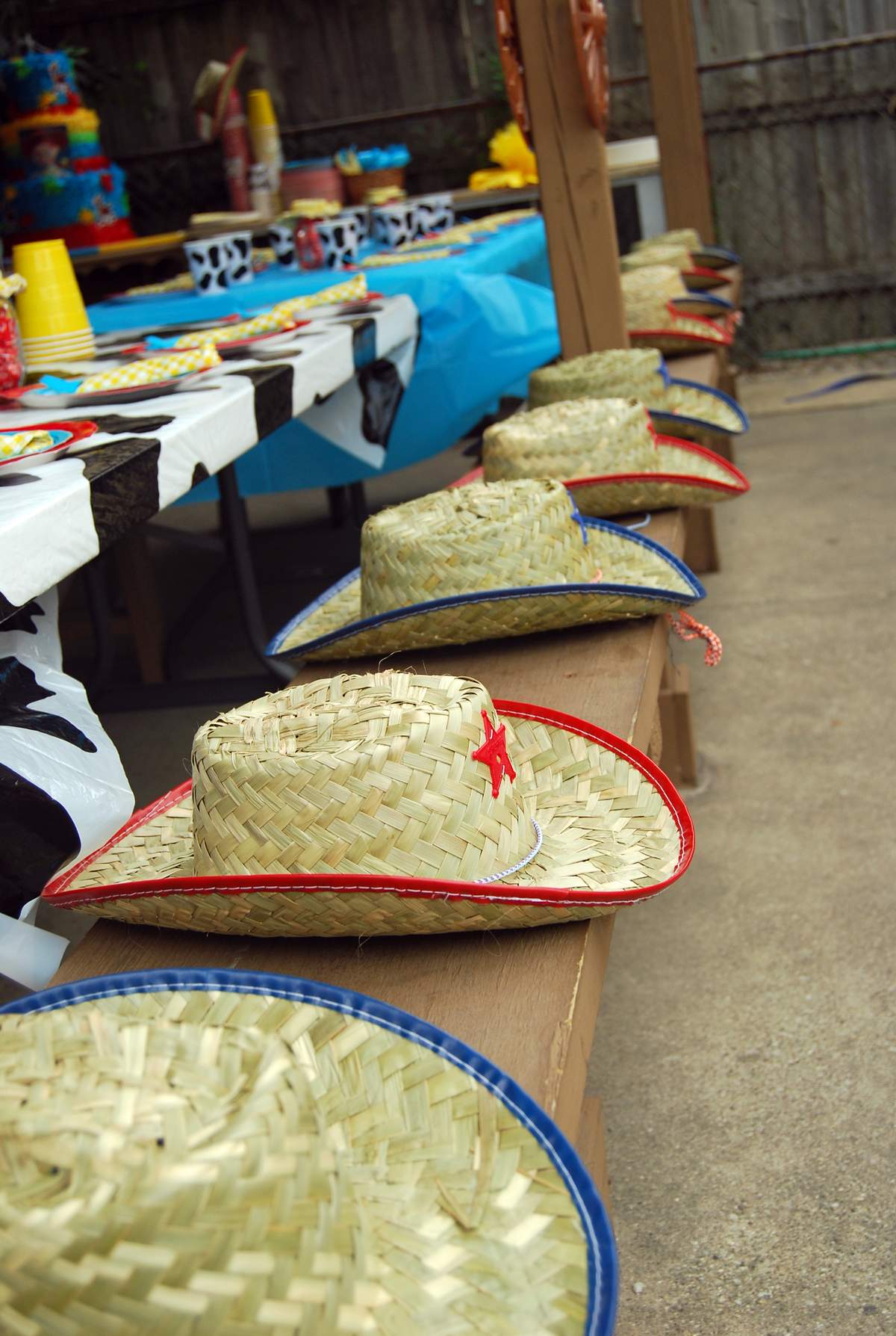 Jessie and Bullseye Party Birthday Party Ideas | Photo 3 of 67 | Catch ...