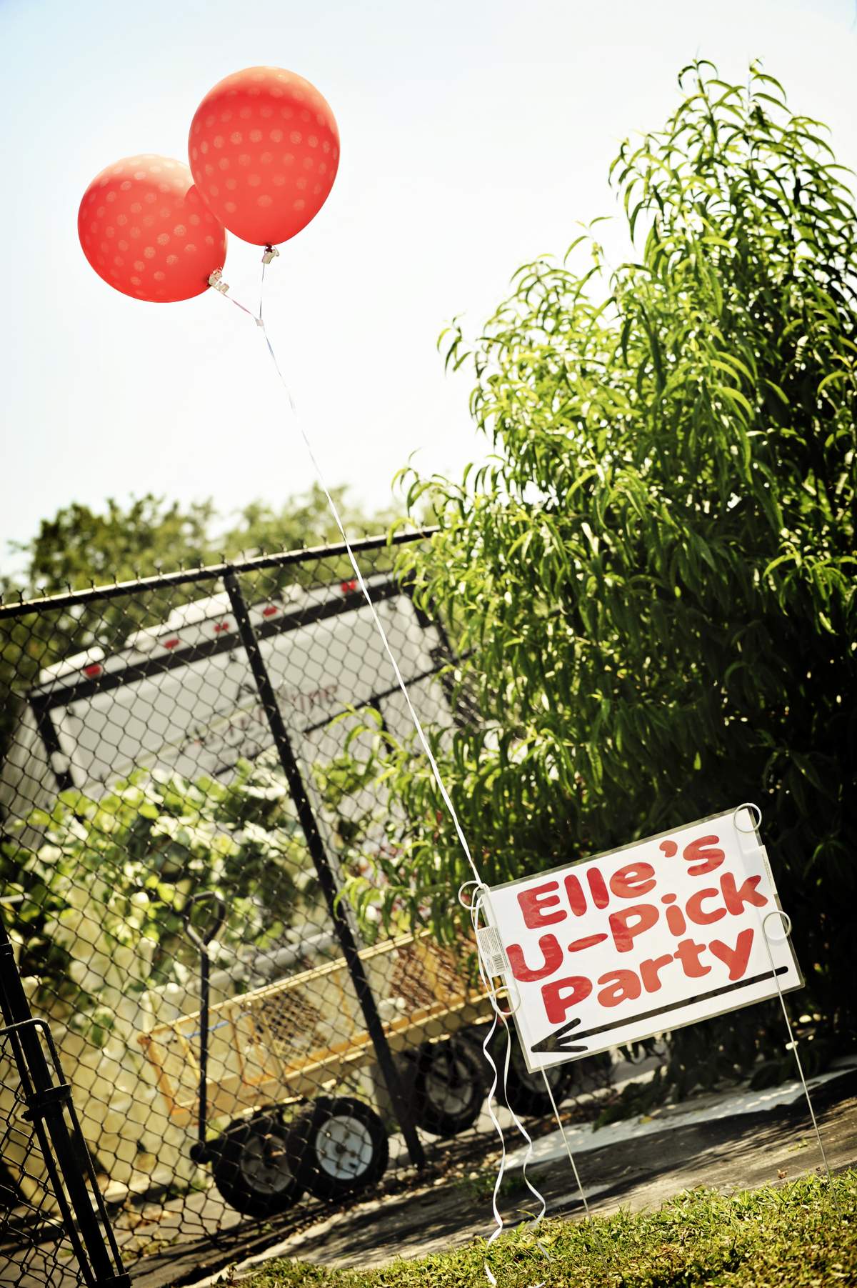 U-Pick Farm Party Graduation/End of School Party Ideas | Photo 1 of 11 ...