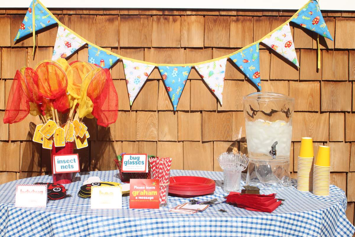 Bugs Birthday Party Ideas | Photo 1 of 42 | Catch My Party