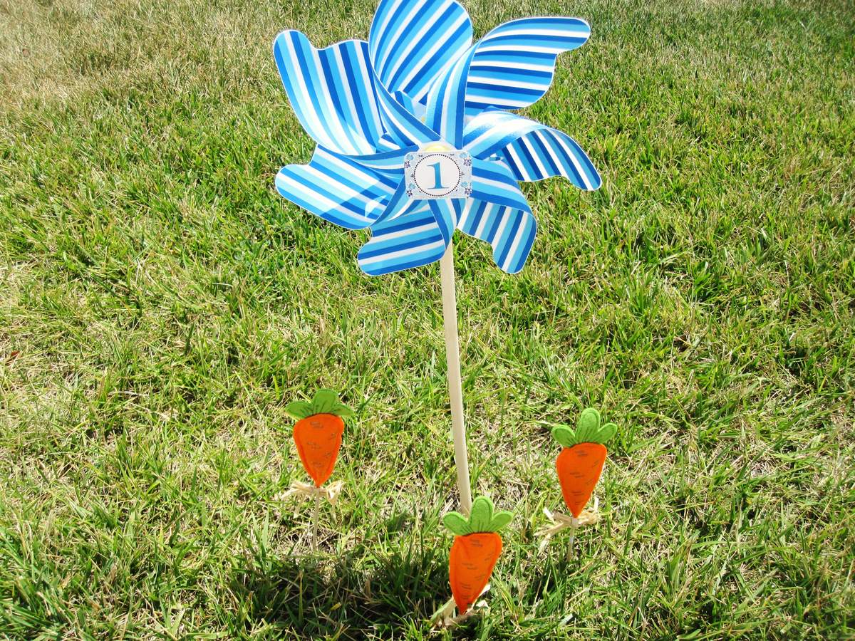 A Peter Rabbit Picnic Birthday Party Ideas | Photo 1 of 32 | Catch My Party