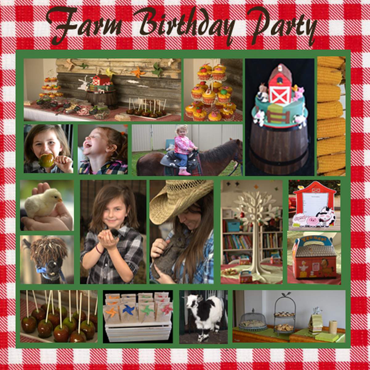 Farm Theme Birthday Party Ideas | Photo 1 of 18 | Catch My Party