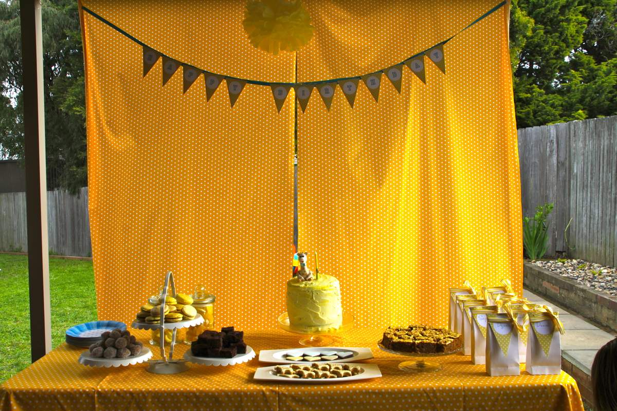 Sophie The Giraffe Birthday Party Ideas | Photo 8 of 18 | Catch My Party