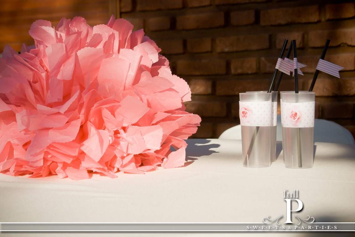 Light Pink Rose Birthday Party Ideas | Photo 2 of 29 | Catch My Party