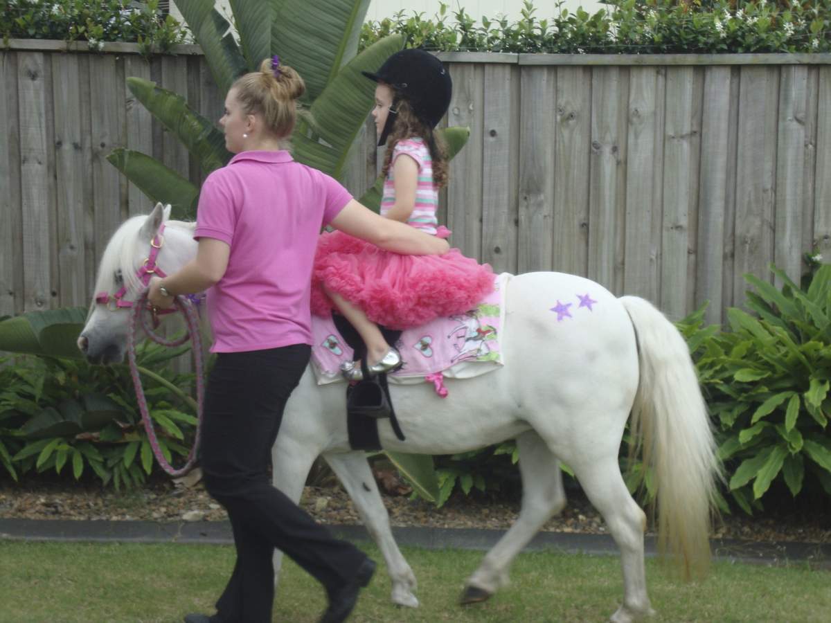 Ponies Birthday Party Ideas | Photo 16 of 17 | Catch My Party