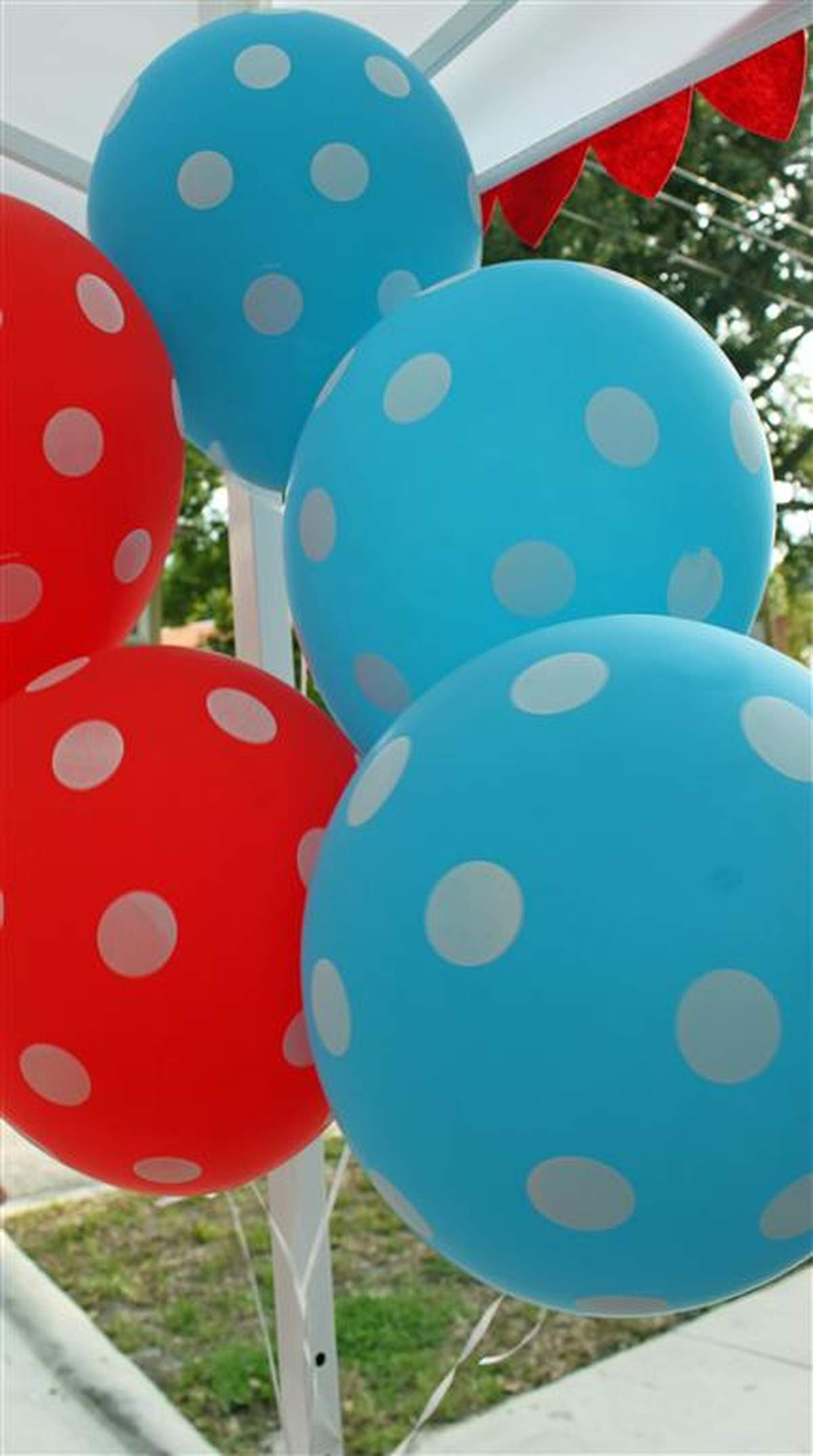 Carnival Back to School Party Ideas | Photo 1 of 15 | Catch My Party