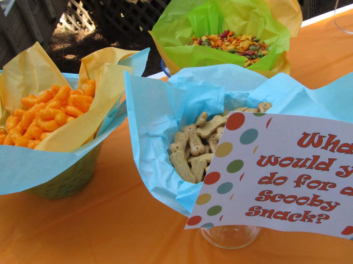 Birthday - Scooby Doo Mystery Birthday Party Ideas | Photo 1 of 23 ...