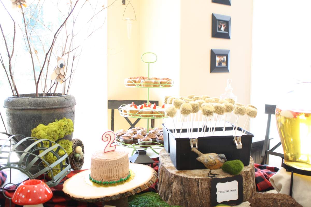 Lumberjack/Logger Birthday Party Ideas | Photo 1 of 39 | Catch My Party