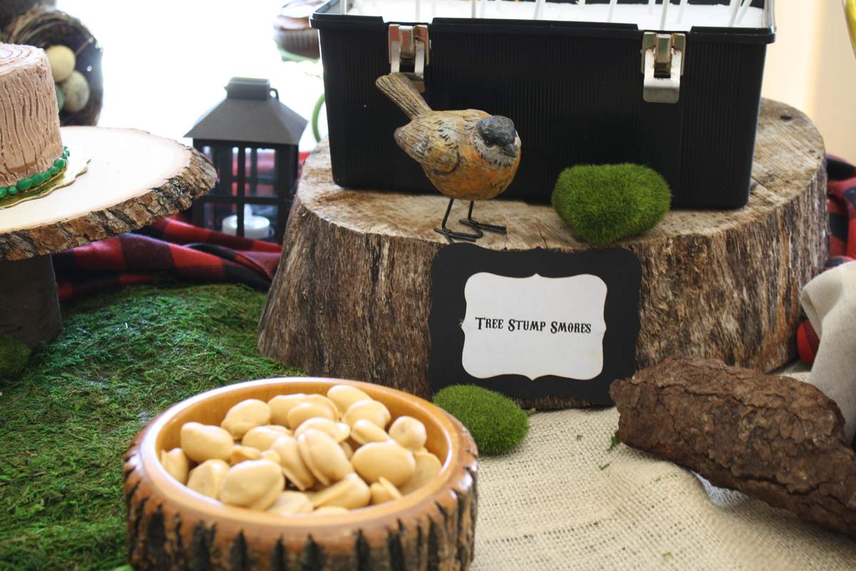 Lumberjack/Logger Birthday Party Ideas | Photo 1 of 39 | Catch My Party
