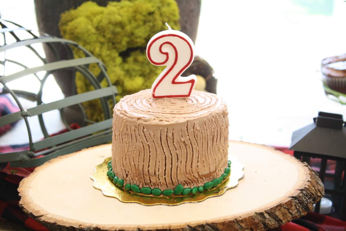 Lumberjack/Logger Birthday Party Ideas | Photo 1 of 39 | Catch My Party