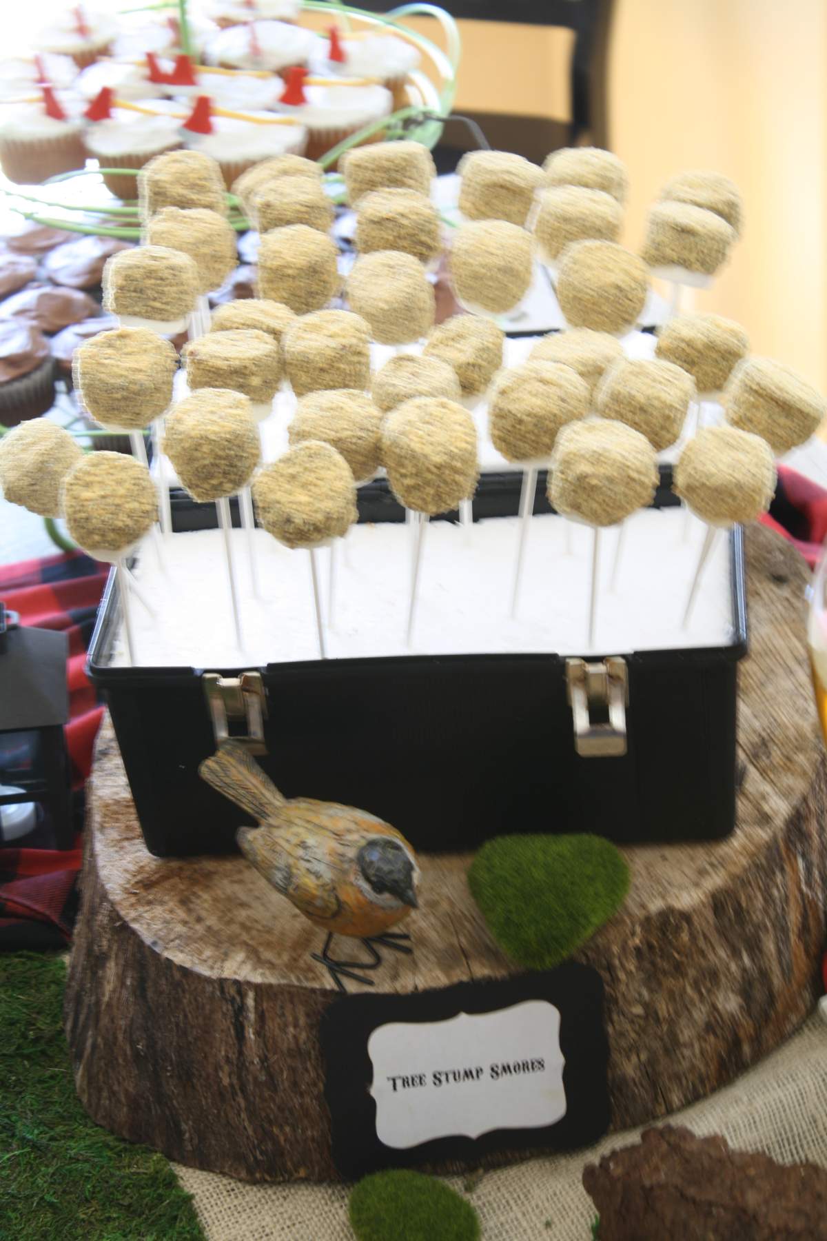 Lumberjack/Logger Birthday Party Ideas | Photo 1 of 39 | Catch My Party