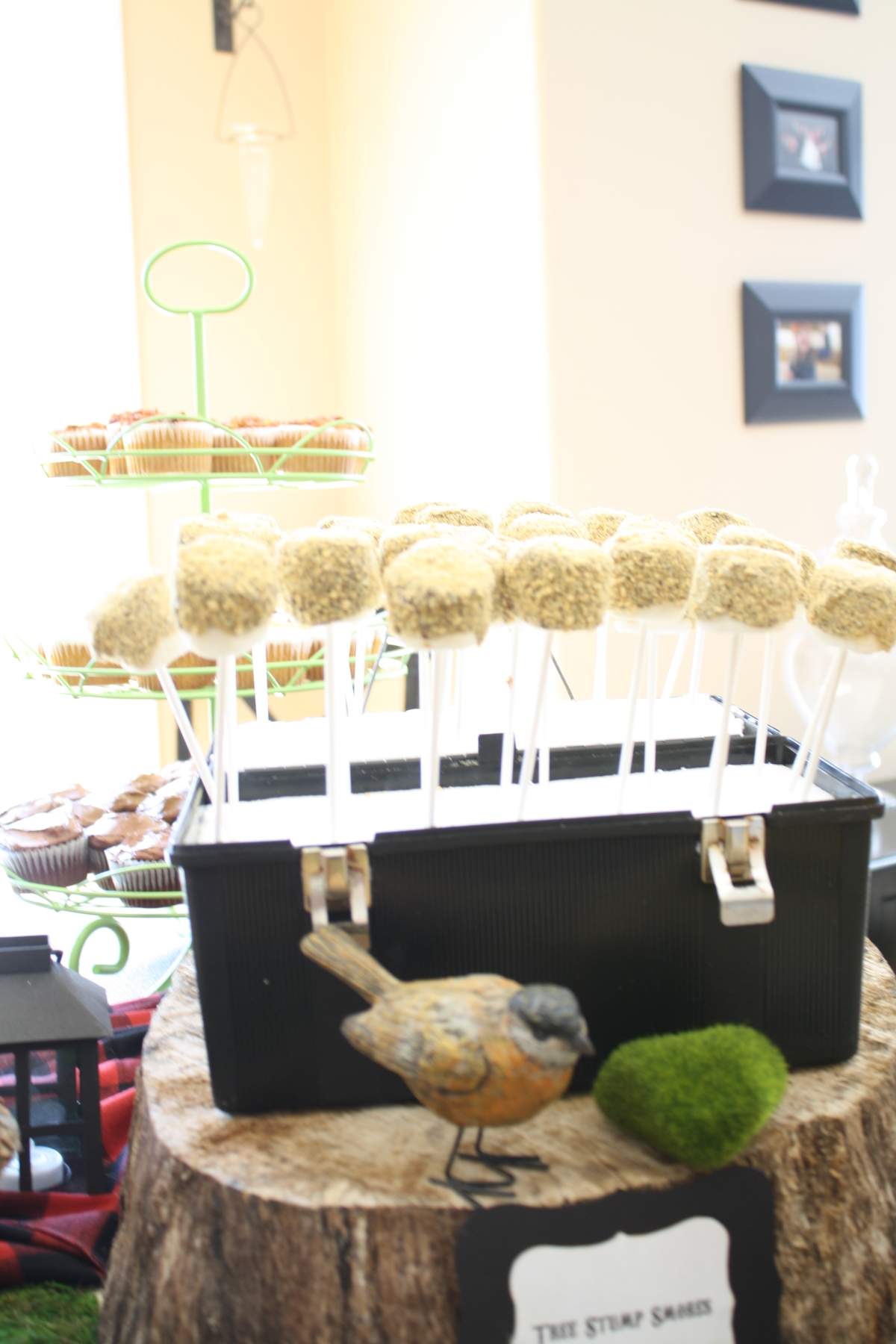 Lumberjack/Logger Birthday Party Ideas | Photo 18 of 39 | Catch My Party