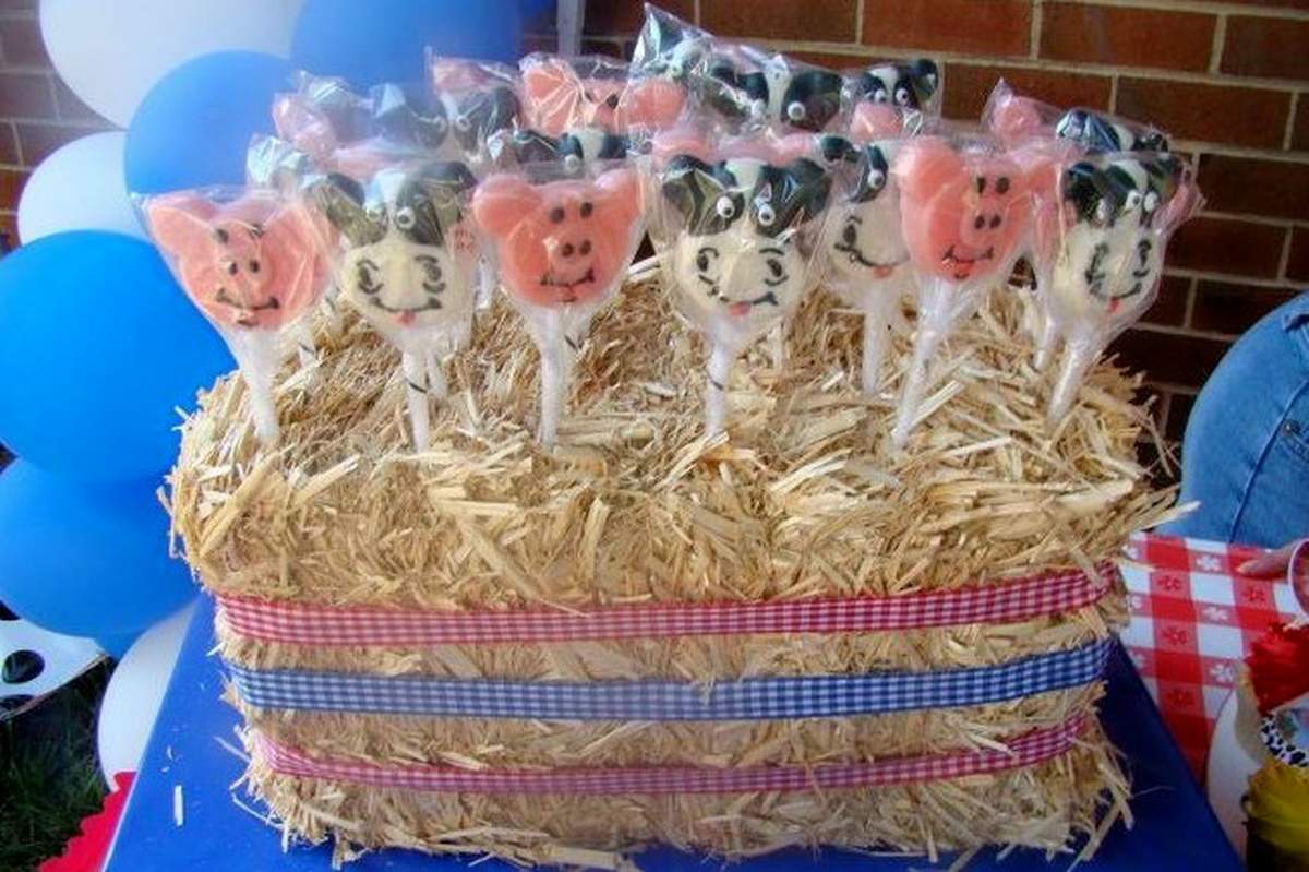 Barnyard Bash Birthday Party Ideas | Photo 1 of 59 | Catch My Party