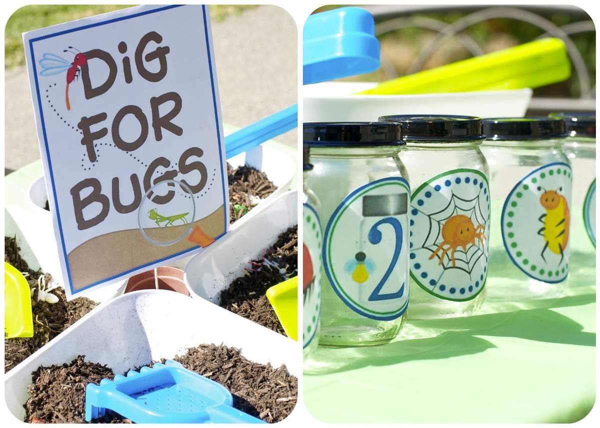 bugs & insects! Birthday Party Ideas | Photo 9 of 17 | Catch My Party