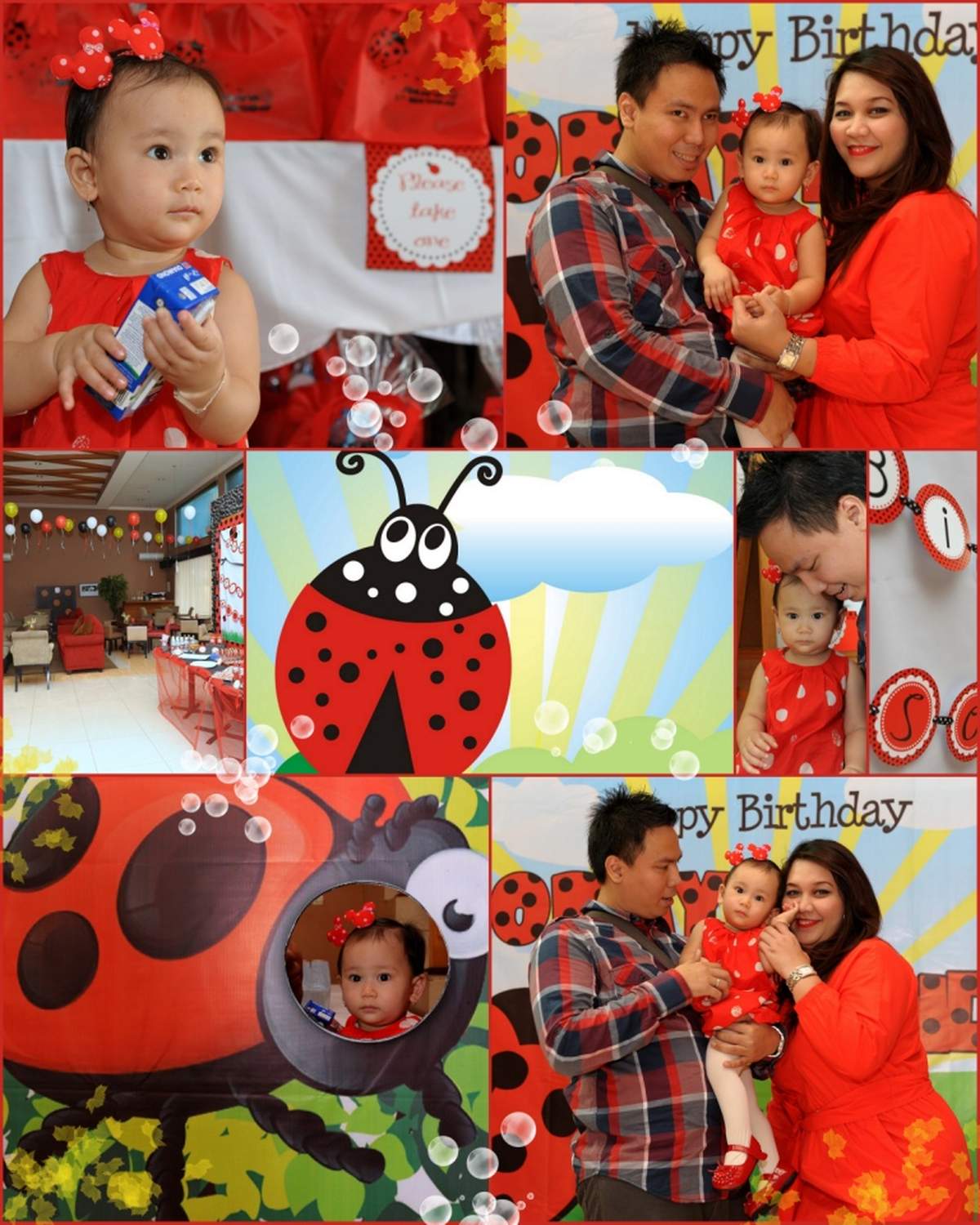 Lady Bug Birthday Birthday Party Ideas | Photo 2 of 15 | Catch My Party