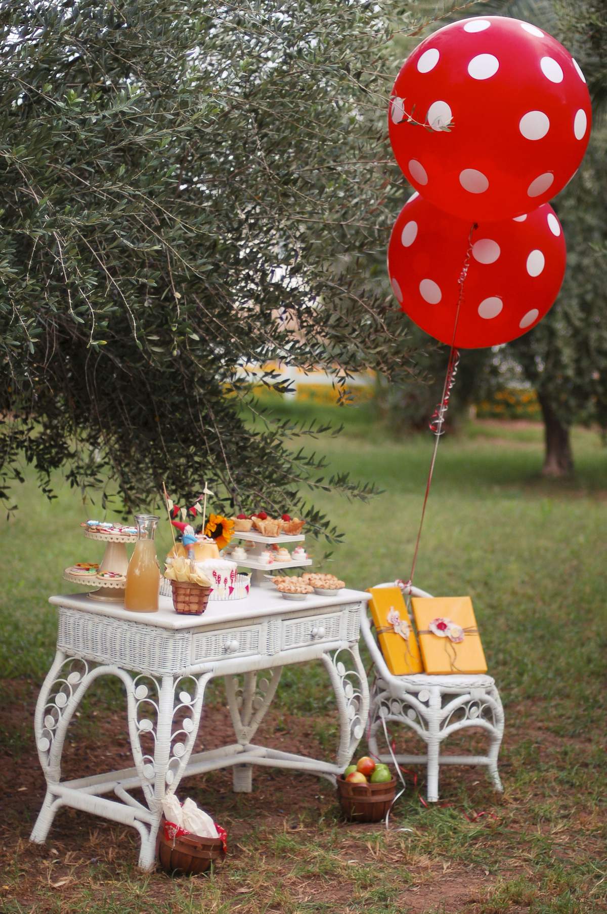 Gnomes/Fall / Birthday "Gnome Birthday Party" | Catch My Party