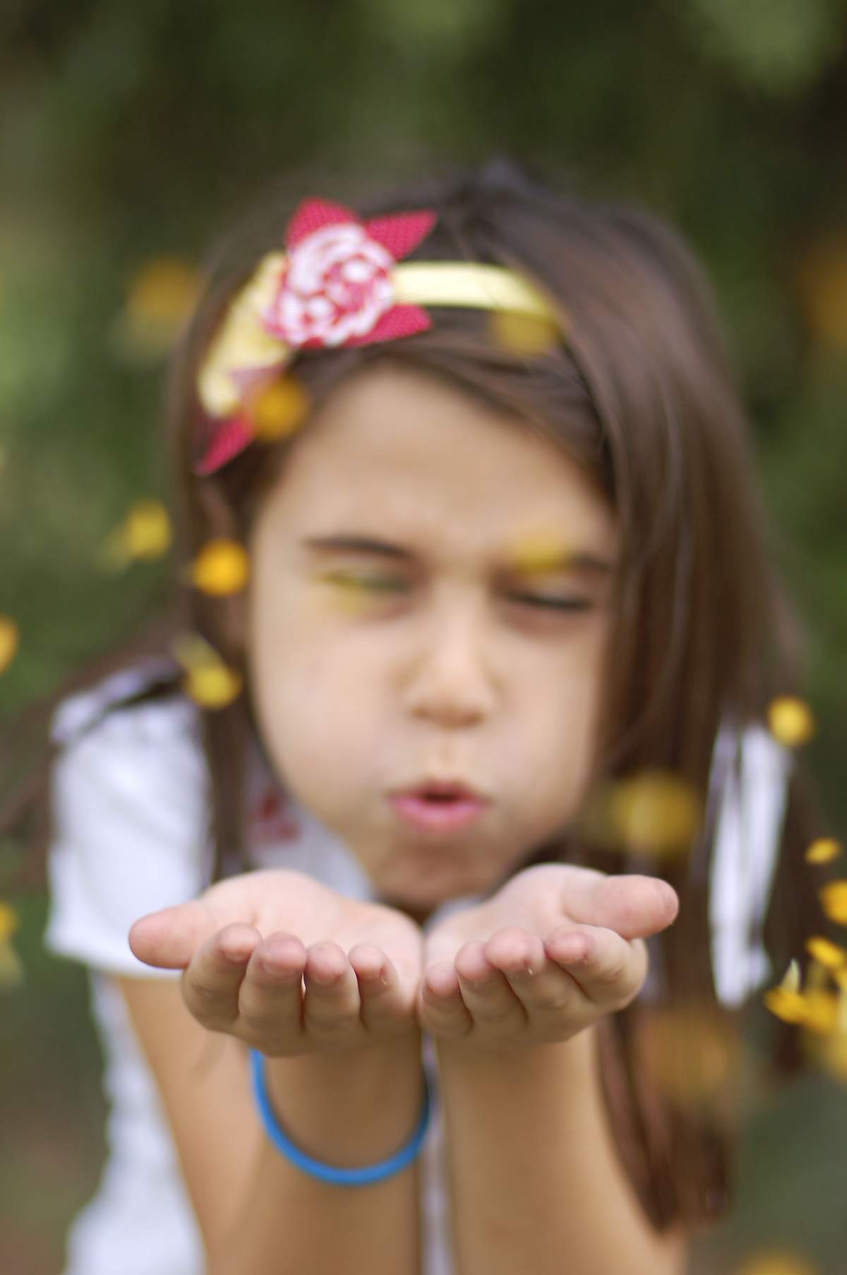 Gnomes/Fall Birthday Party Ideas | Photo 8 of 32 | Catch My Party