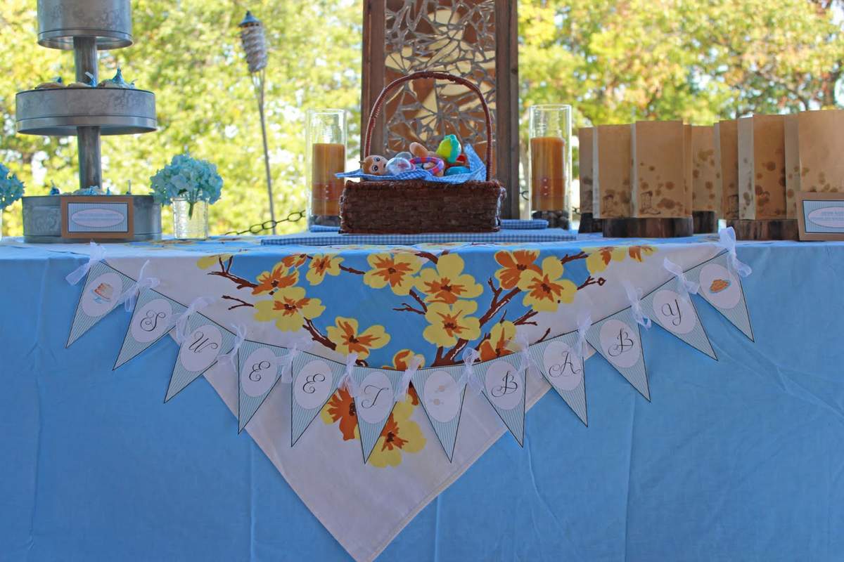 Country Chic Baby Shower Party Ideas | Photo 1 of 44 | Catch My Party