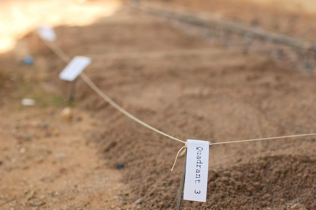 Egyptology/Archaeology Birthday Party Ideas | Photo 27 of 58 | Catch My ...