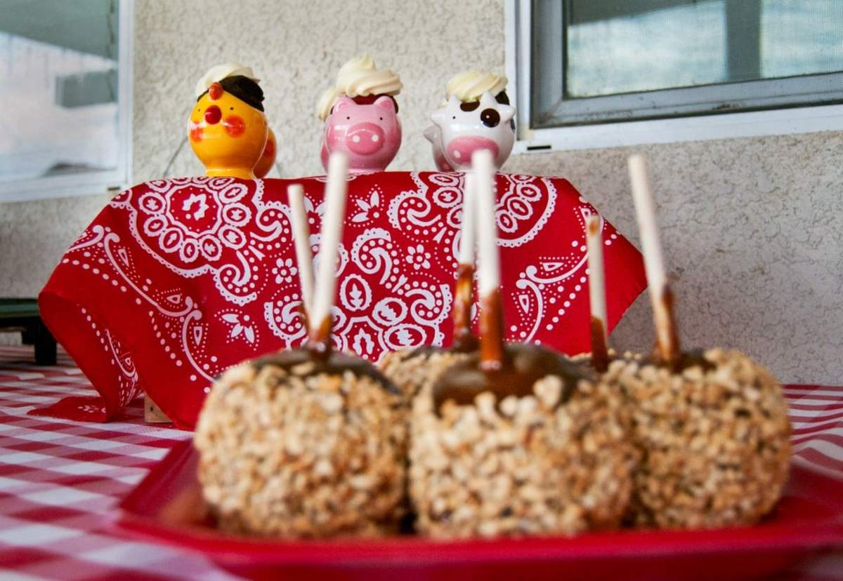 Barnyard/Farm Animals Birthday Party Ideas | Photo 3 of 40 | Catch My Party