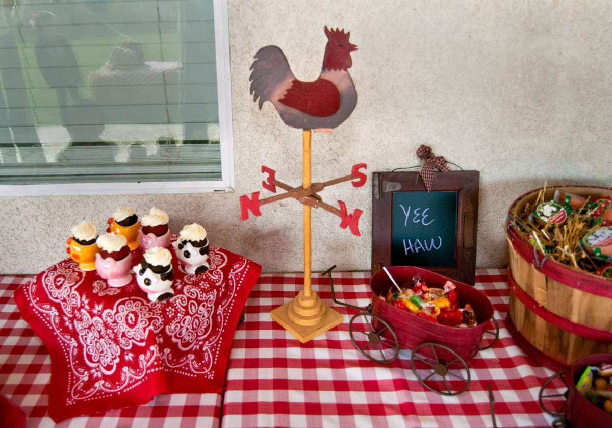 Barnyard/Farm Animals Birthday Party Ideas | Photo 3 of 40 | Catch My Party