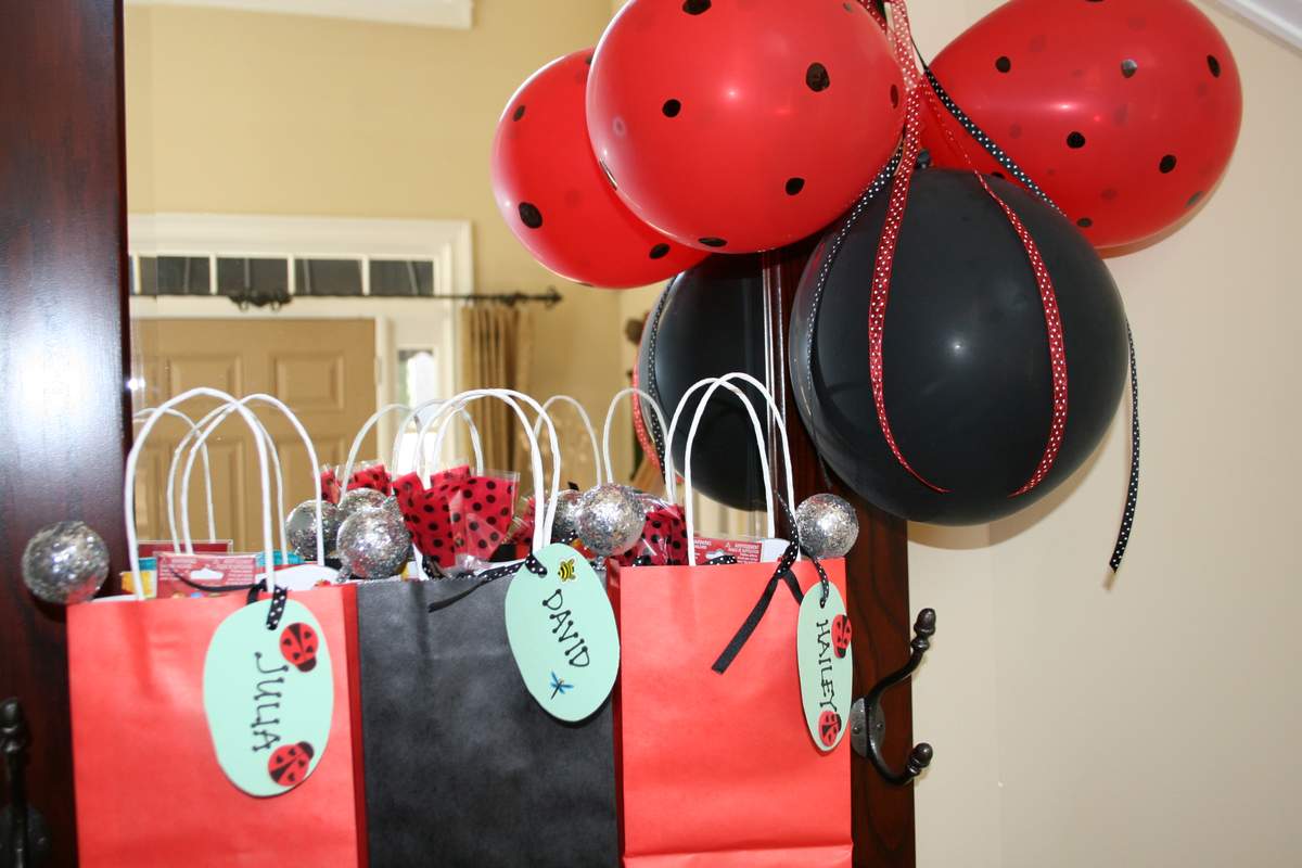 Ladybugs Birthday Party Ideas | Photo 6 of 12 | Catch My Party