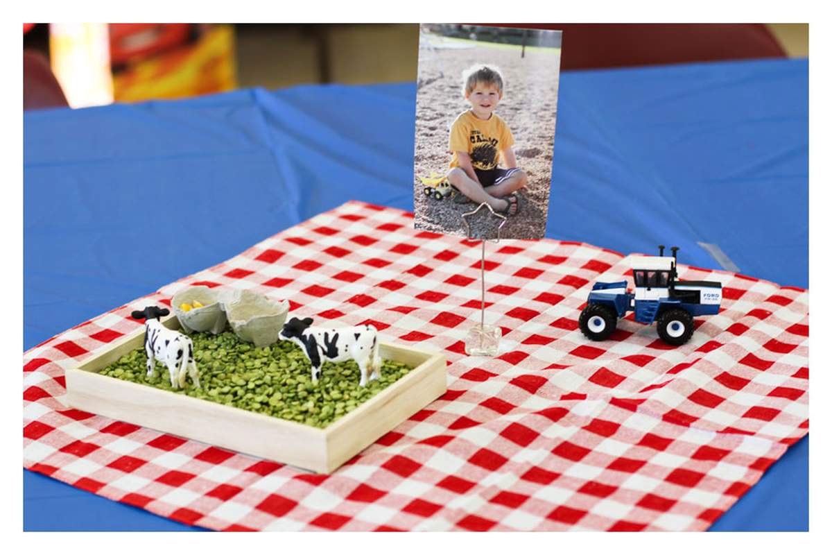 vintage tractors Birthday Party Ideas | Photo 3 of 21 | Catch My Party