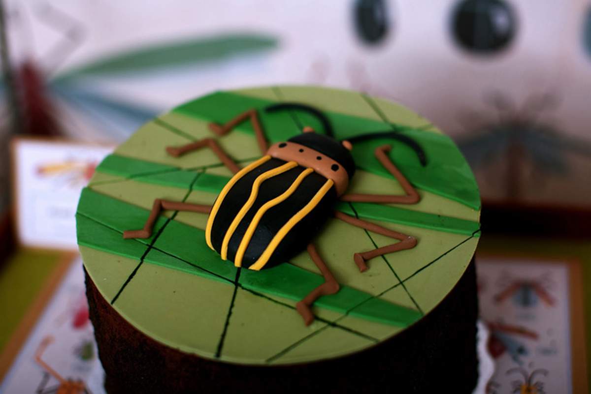 Bugs and Insects Birthday Party Ideas | Photo 2 of 14 | Catch My Party